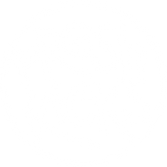 Fresh Kicks® Official Site - Premium Shoe Care and Sneaker Cleaning